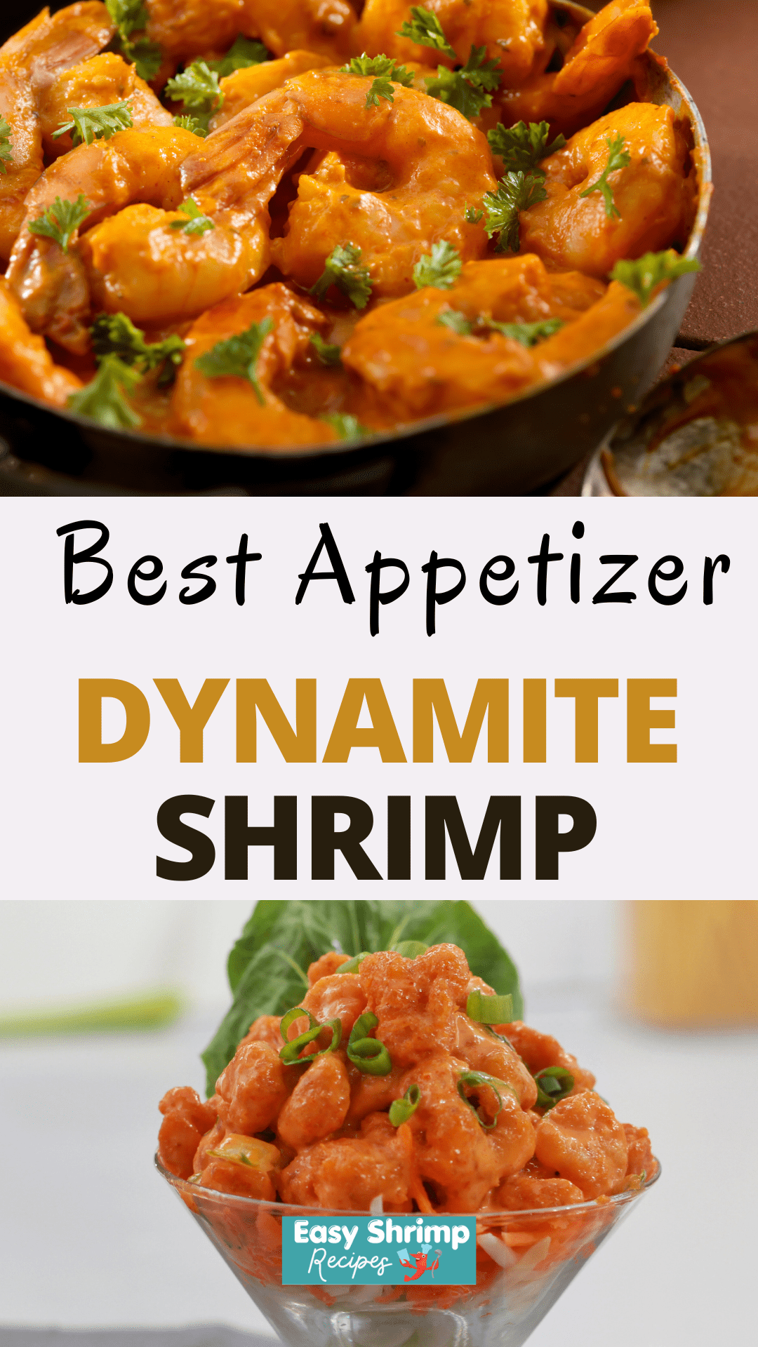Dynamite Shrimp - Best Appetizer