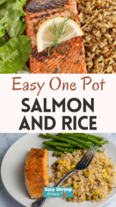 Salmon And Rice - One Pot Meal
